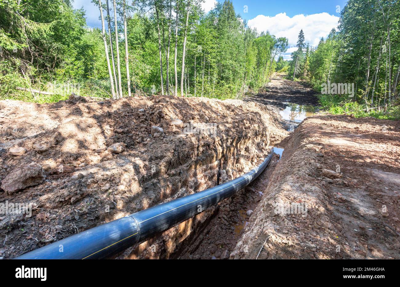 Laying a plastic gas pipeline pipe in a trench in the summer. Gas ...