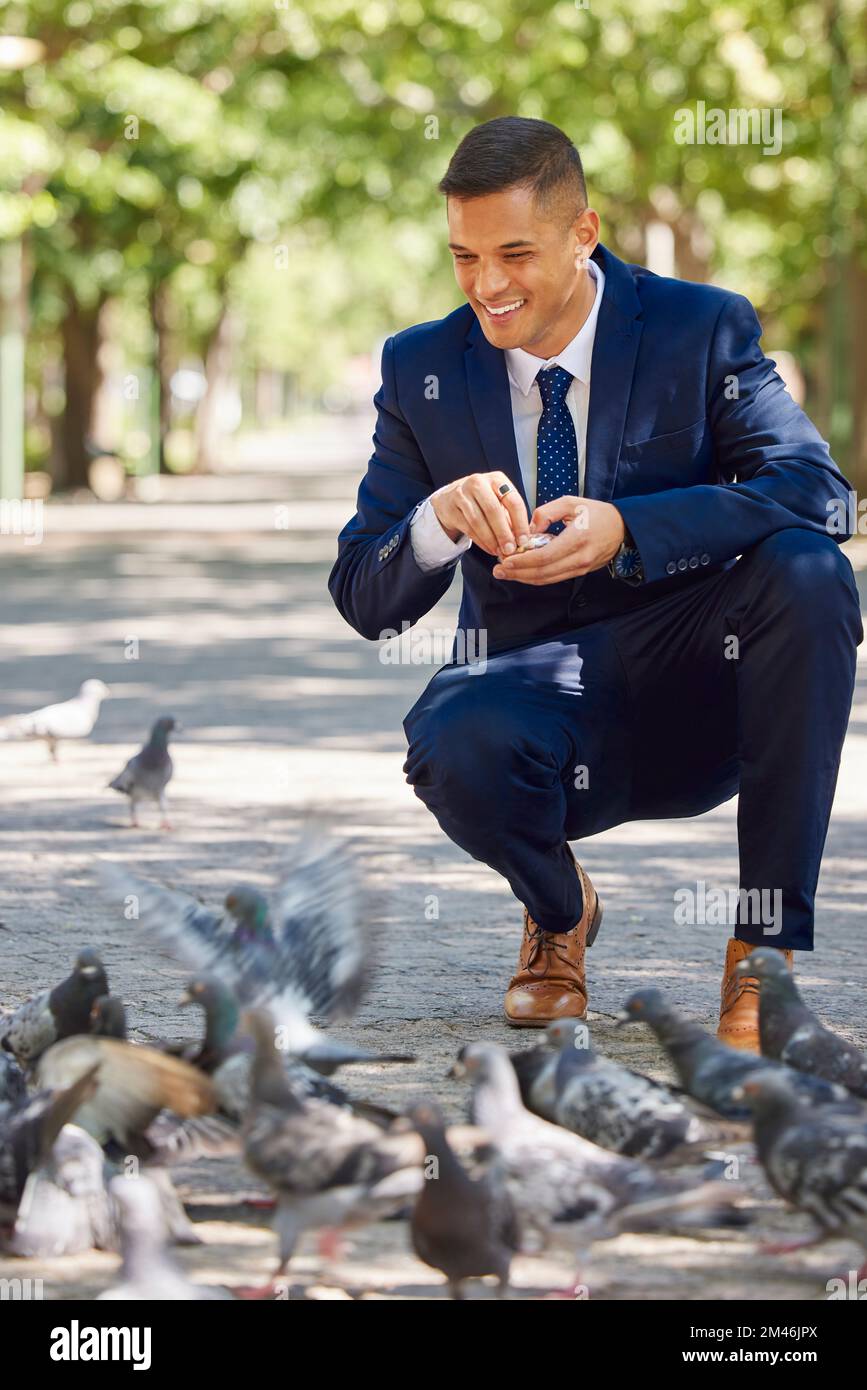 Business, man and feeding birds outdoor in the park during a work break ...