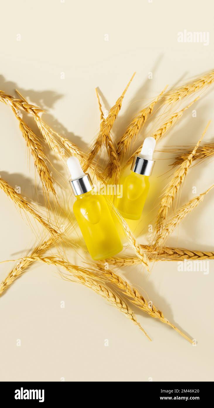 Oil with serum for skin and hair care. Conceptual composition of wheat ...