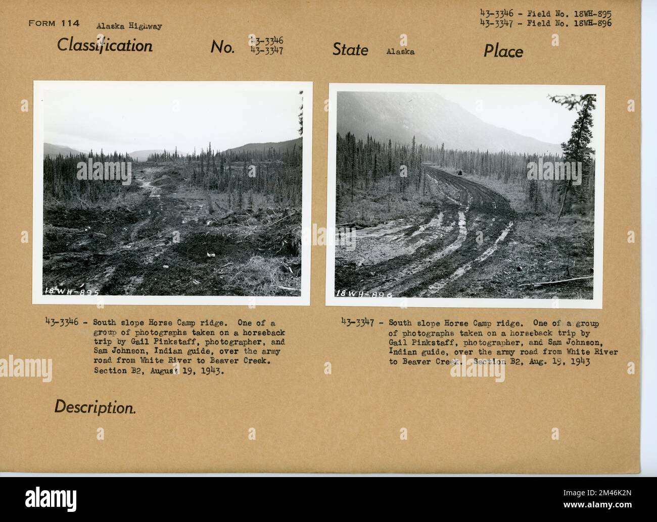 South slope of Horse Camp ridge. Original caption: 43-3346 - South ...