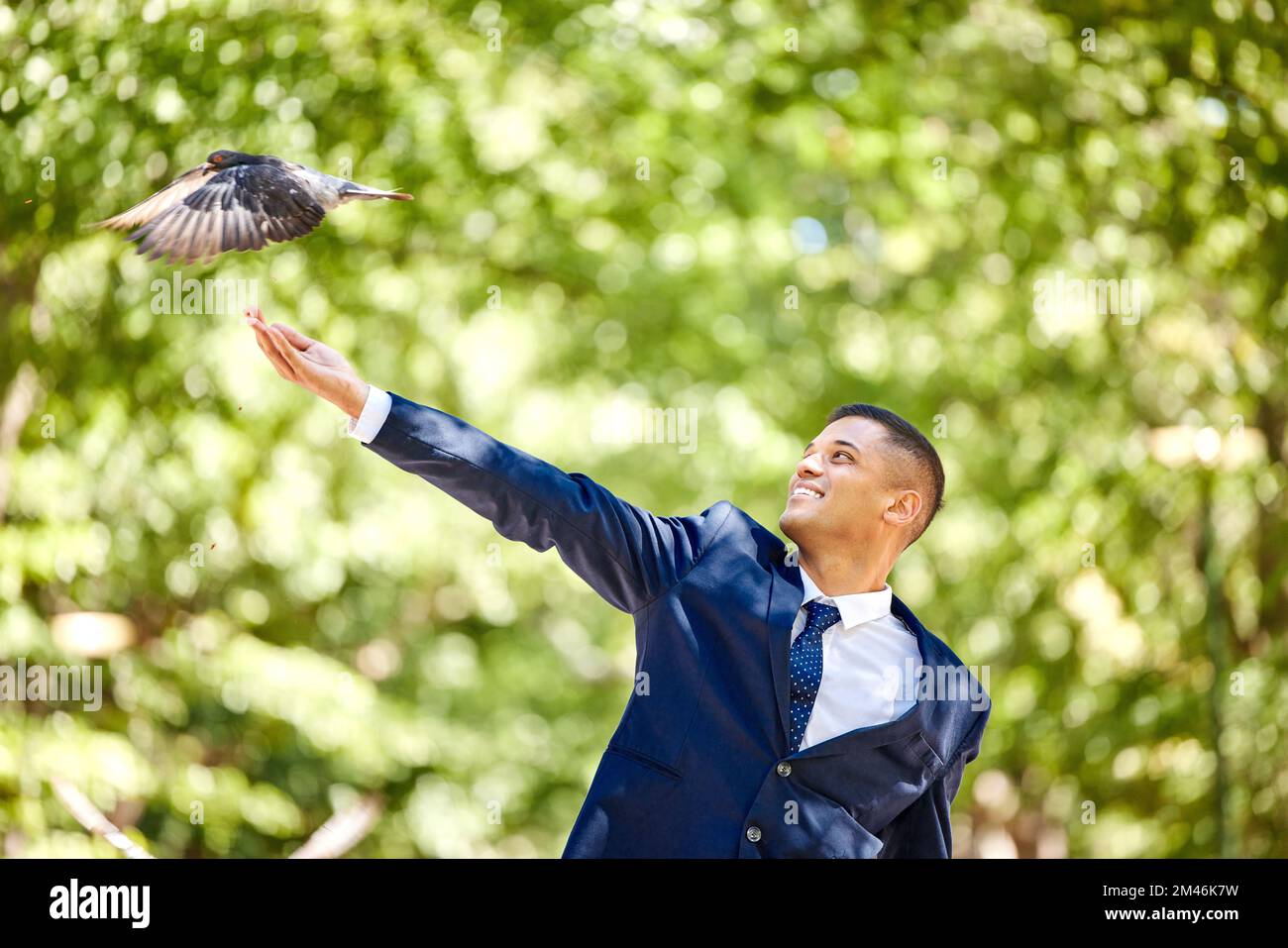 Business man, bird and nature park for freedom, success and start of ...