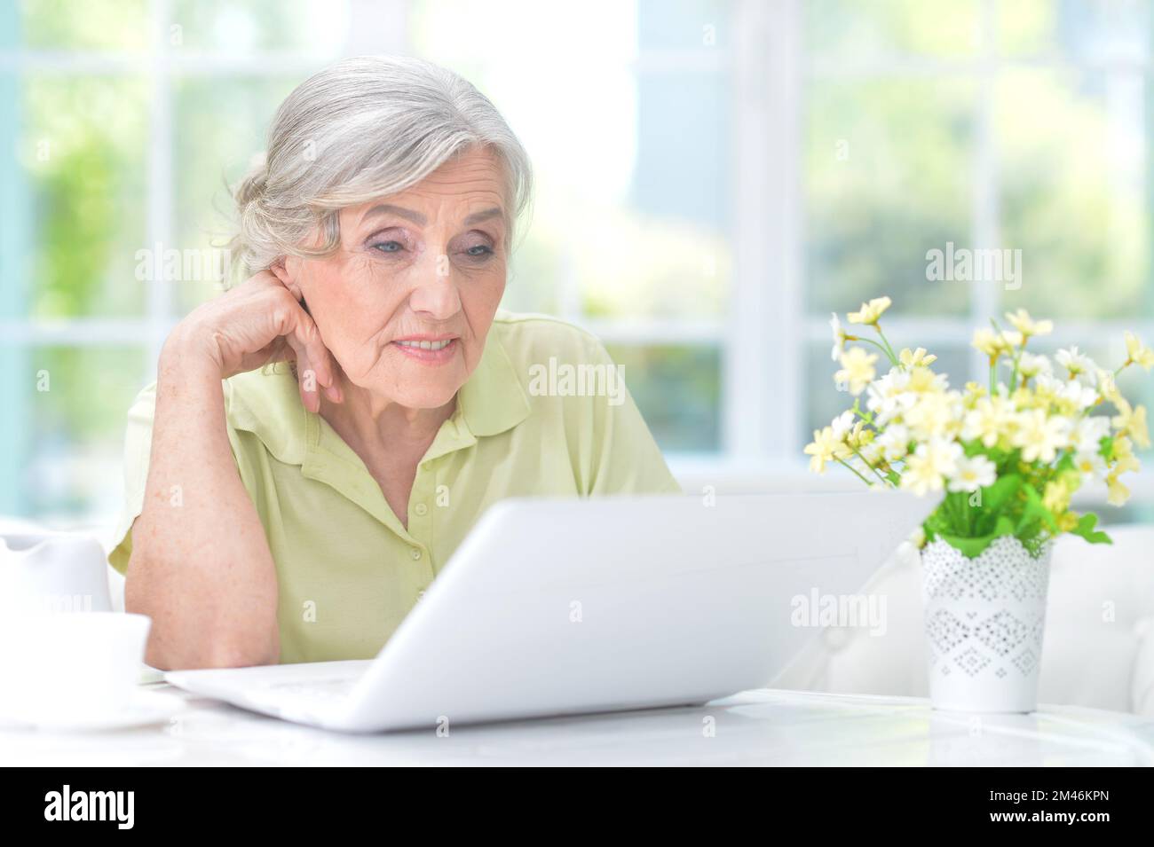 Nice old woman using hi-res stock photography and images - Alamy