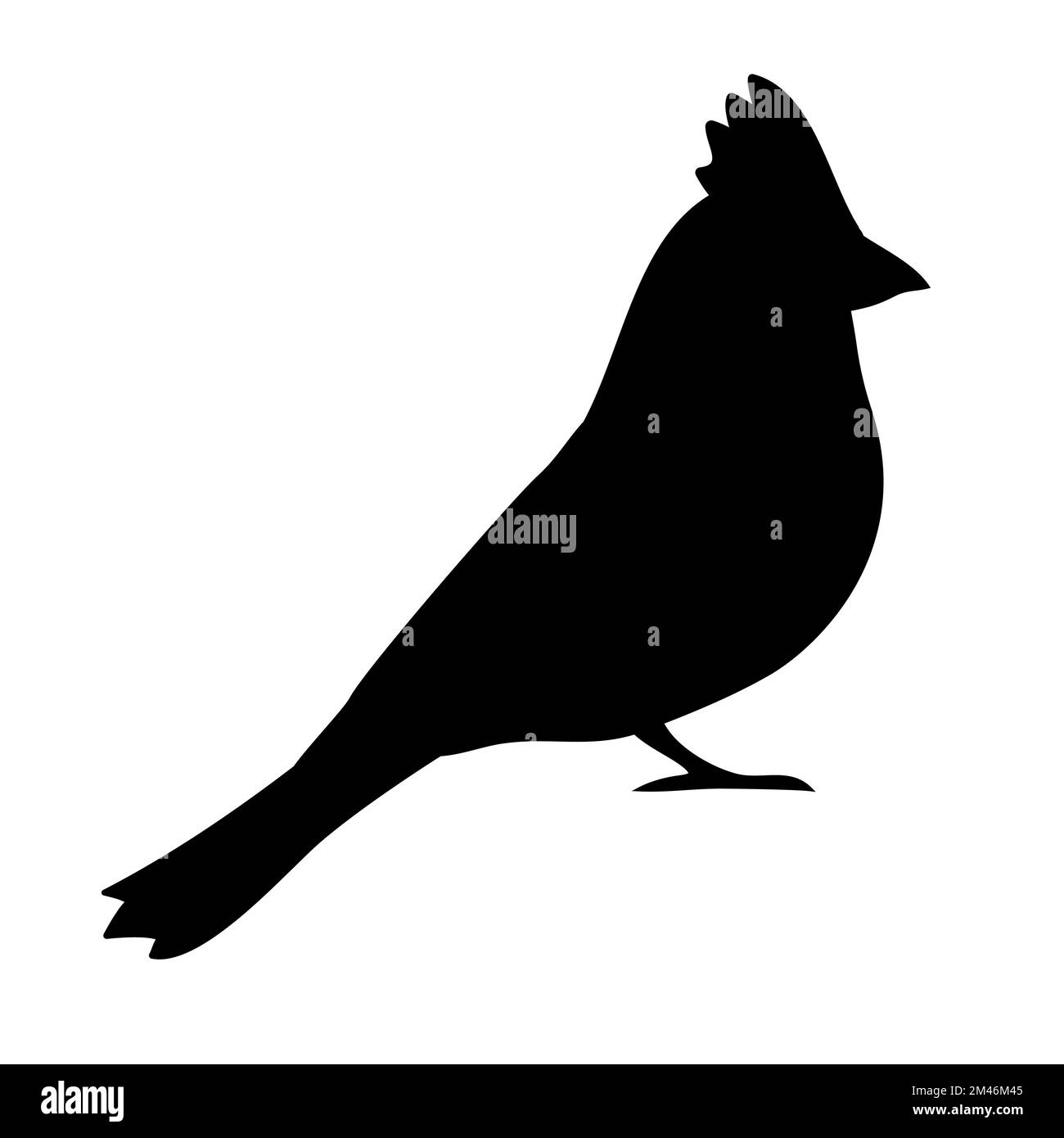 Cardinal Bird Outline