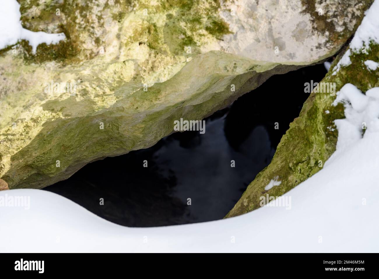 Den bear (Ursus arctos) in the woods under a large rock in winter Stock ...