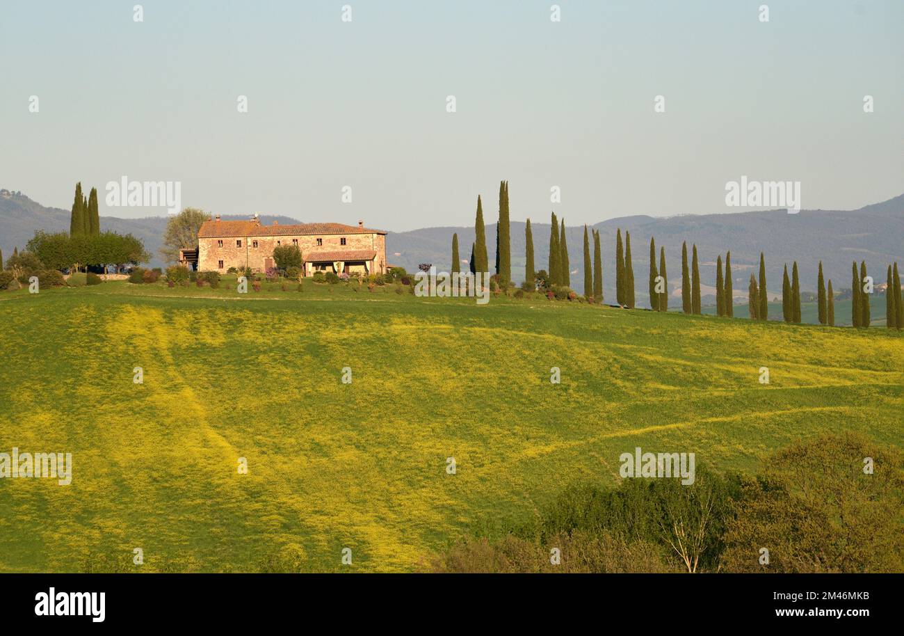 View on the typical Tuscan farm Stock Photo - Alamy