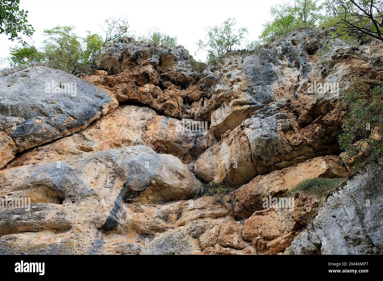 Magnificent gray brown mountain rock view from below with some greenery ...