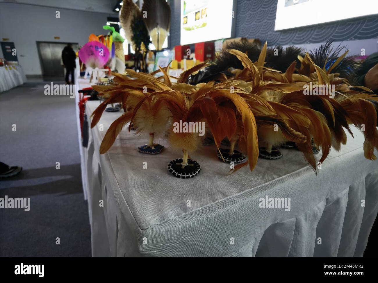 China Nanjing (Gaochun) High Quality Agricultural Products Expo kicked ...