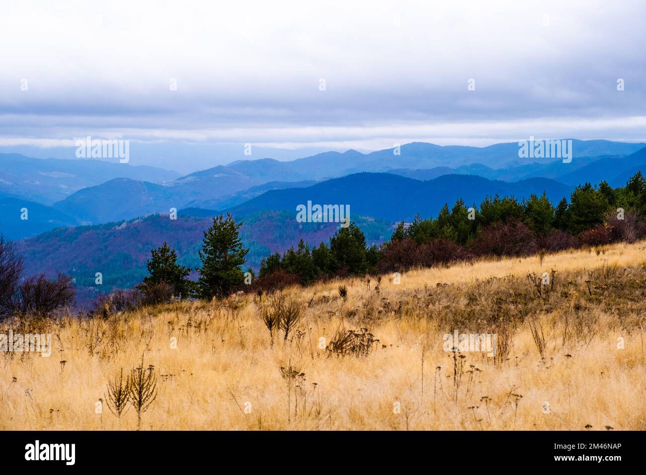 Amazing view of Magnificent autumn carpet in The Rhodope mountains ...