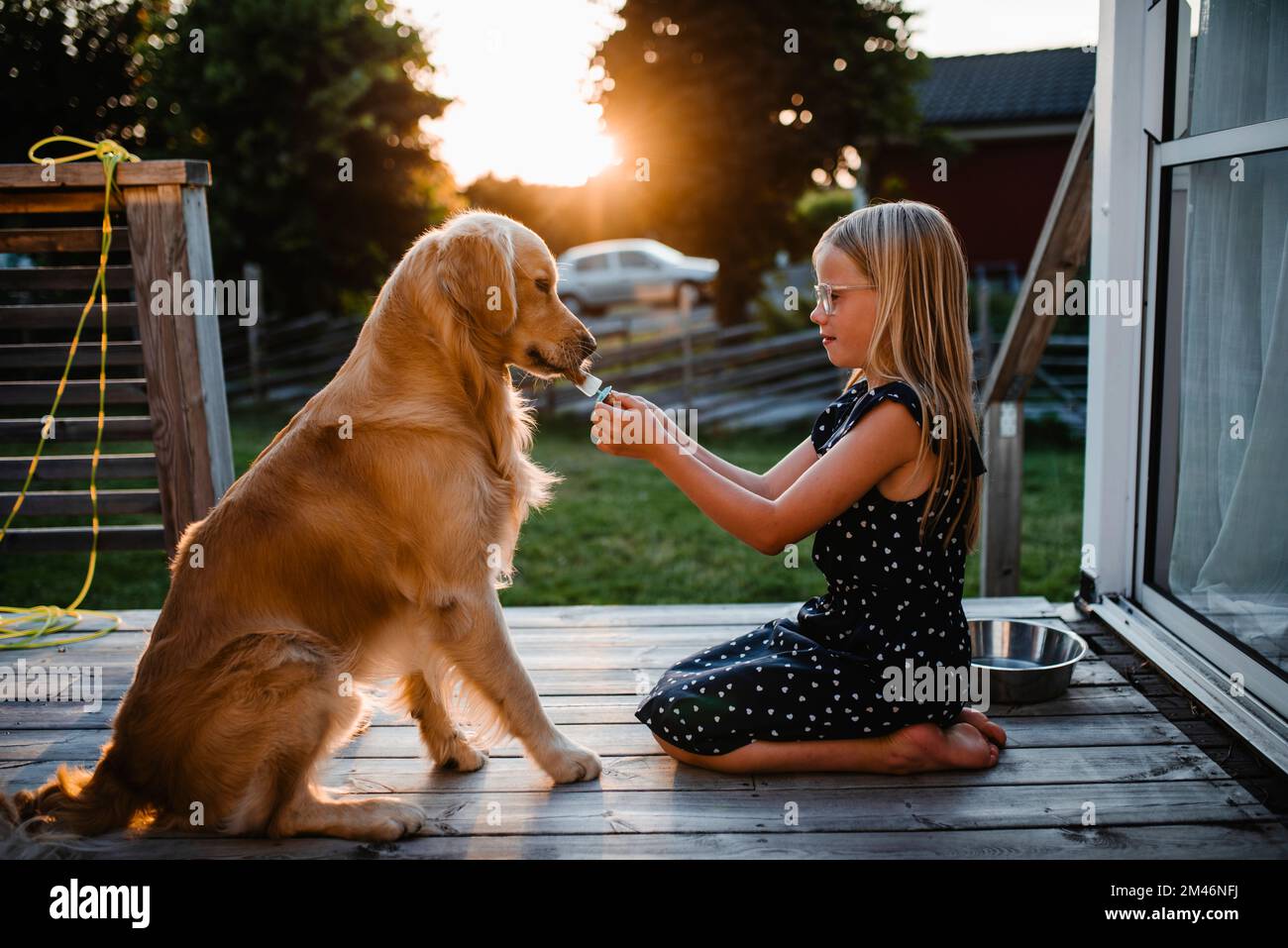 Girl giving dog ice loll Stock Photo - Alamy