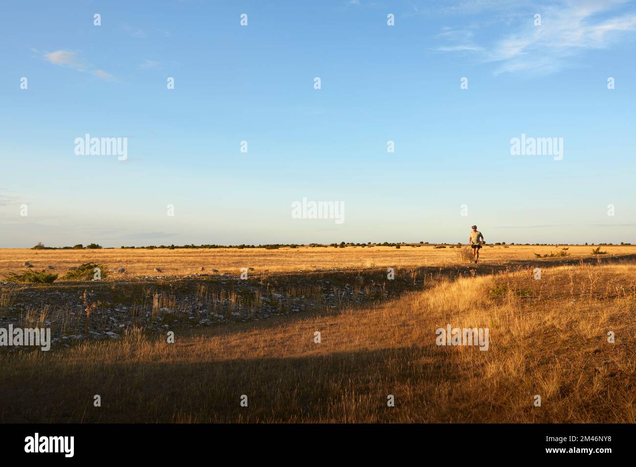 Man walking through meadow Stock Photo - Alamy