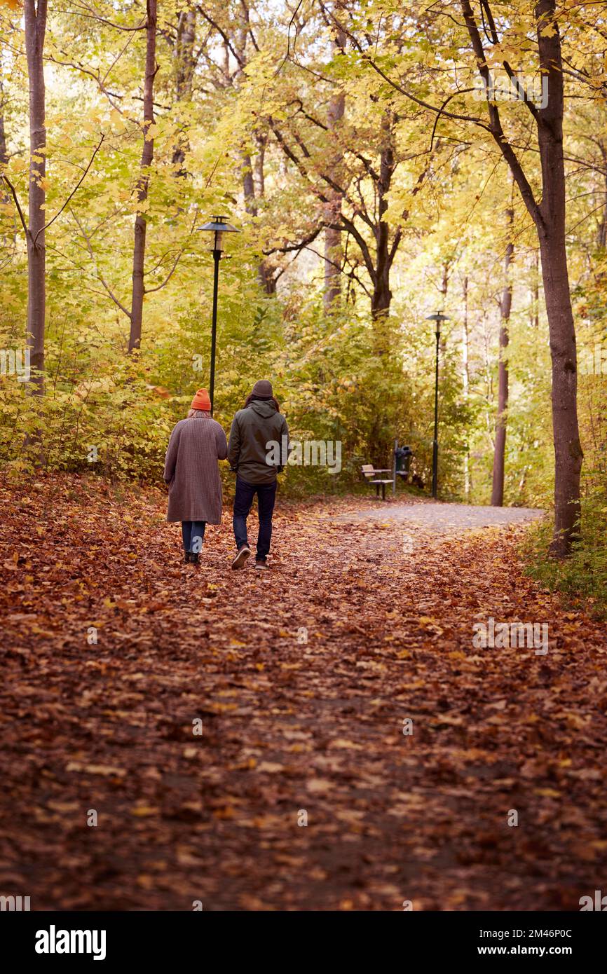 Mature couple walk woods hi-res stock photography and images - Alamy