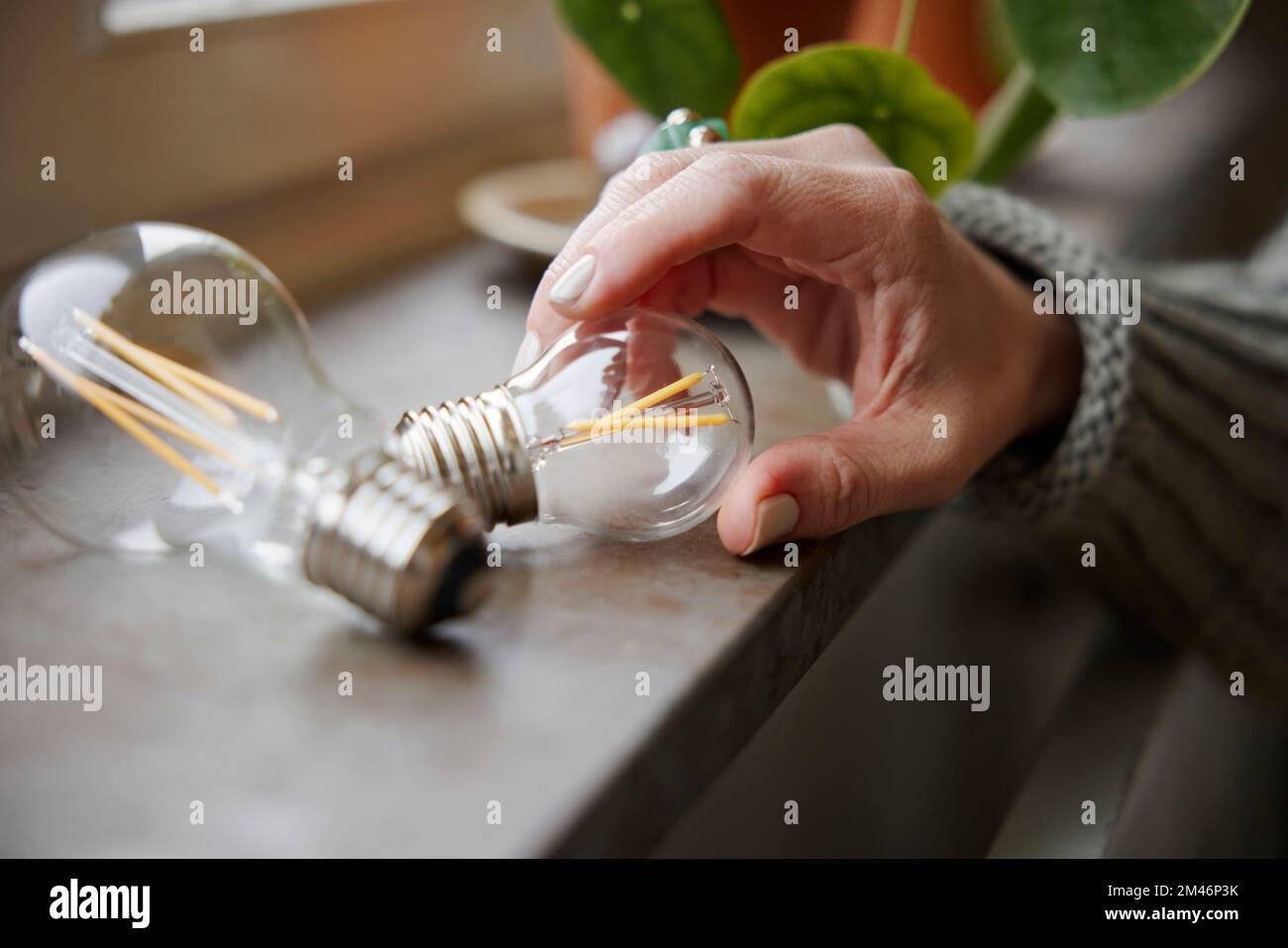 Hand holding lightbulb hi-res stock photography and images - Alamy