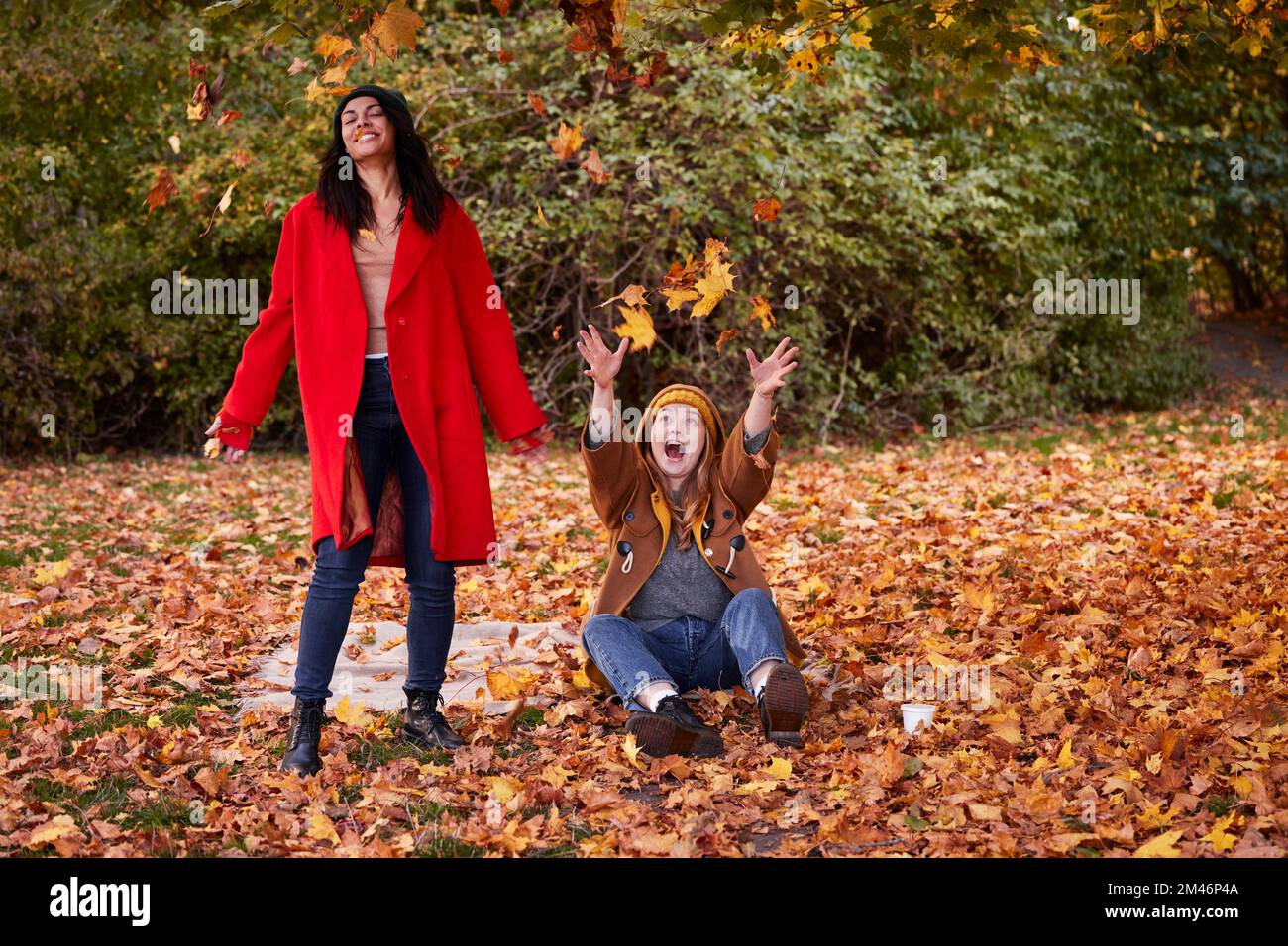 Human leaves hi-res stock photography and images - Alamy