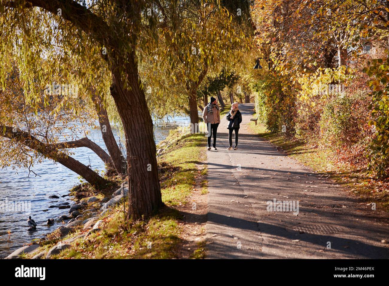 Healthy stroll walking hi-res stock photography and images - Alamy