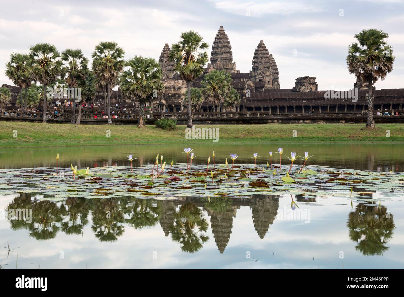 Angkor Wat towers and southern lotus pool, Siem Reap, Cambodia Stock ...