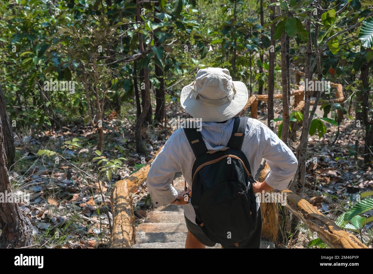 Rear view of backpack female geologist exploring nature trail in forest ...