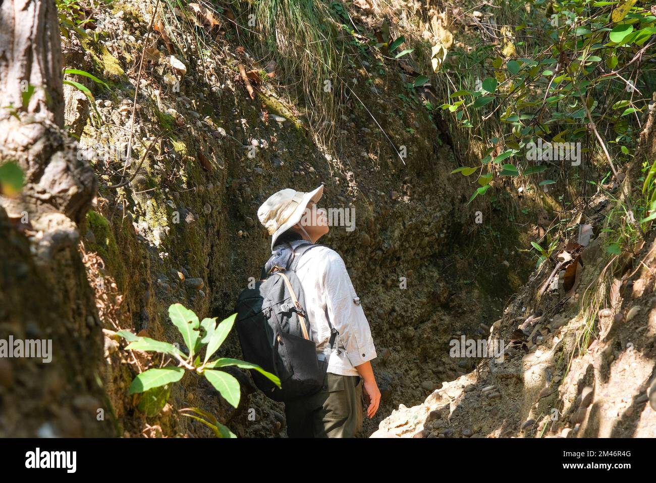 Female geologist with backpack exploring nature trail in forest and ...