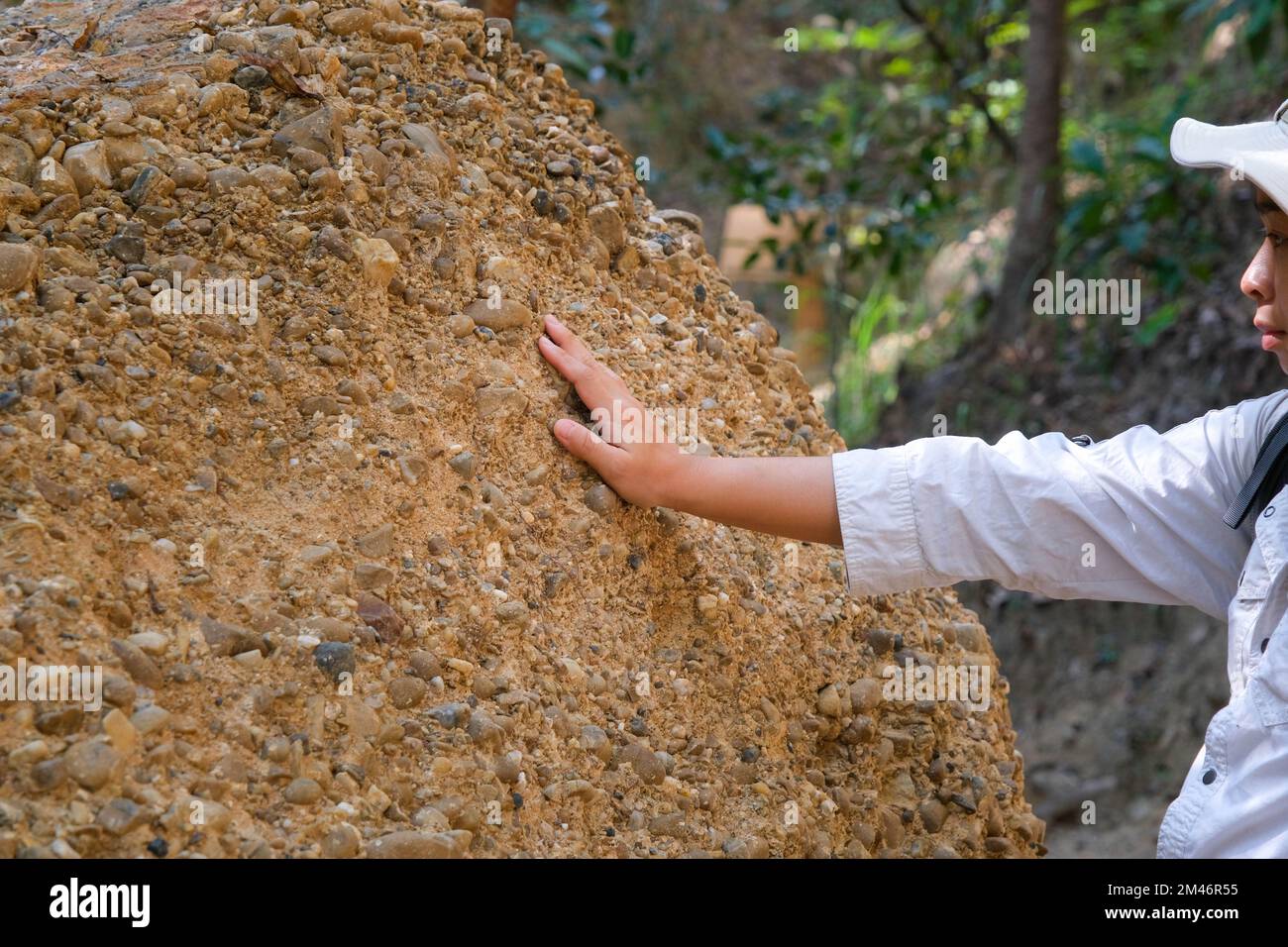 Female geologist with backpack exploring nature trail in forest and ...