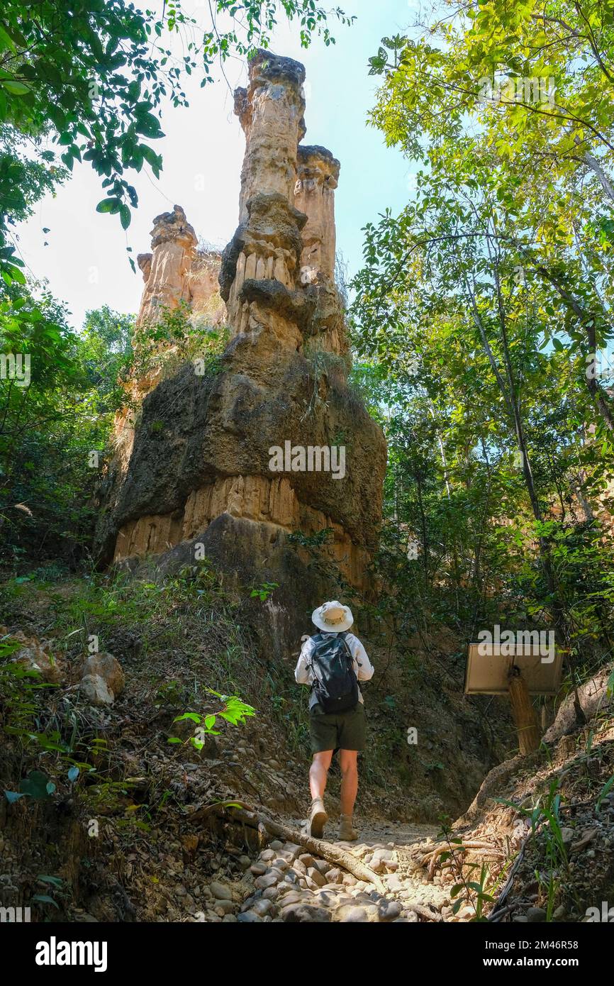 Female geologist with backpack exploring nature trail in forest and ...