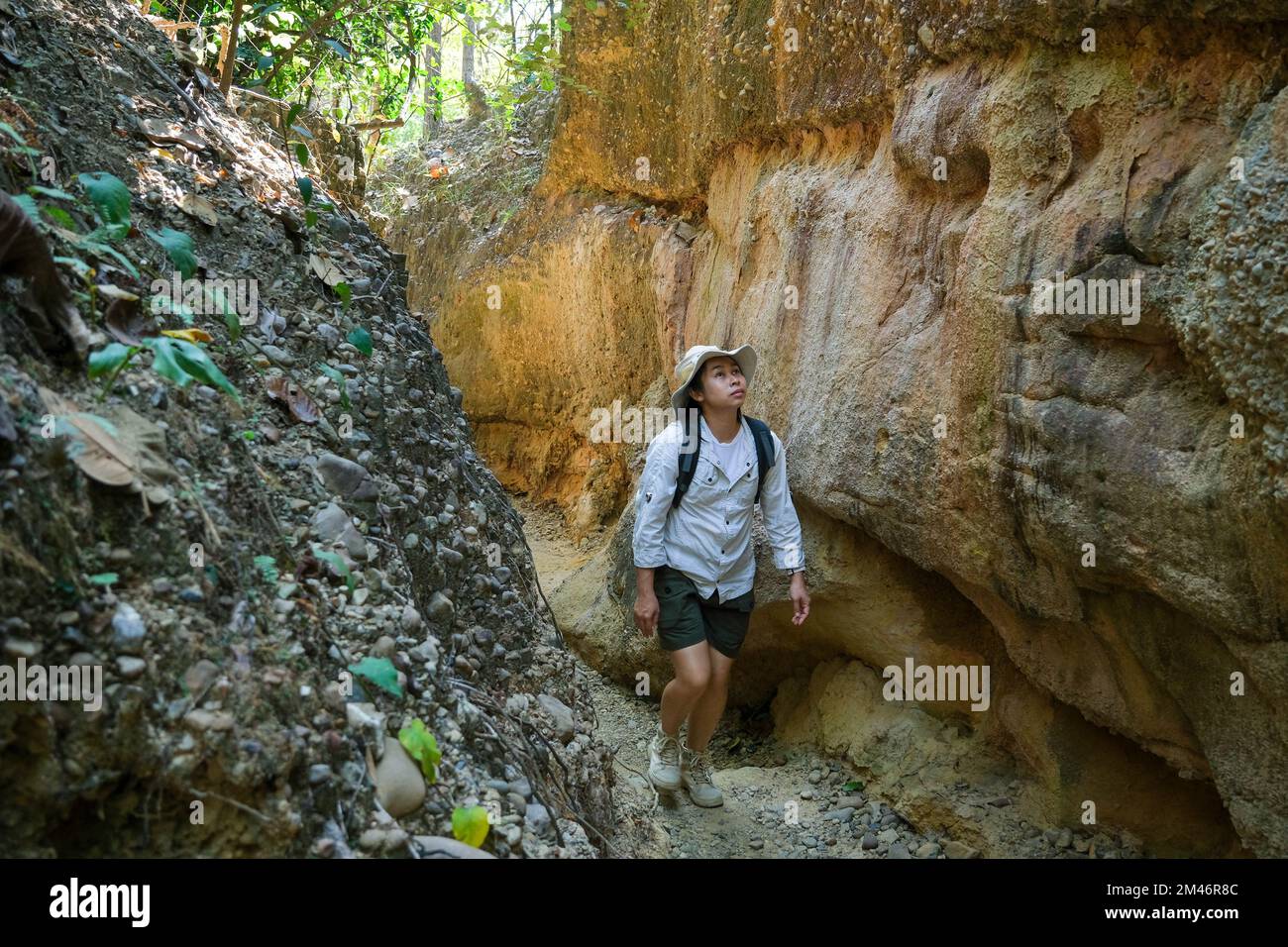 Female geologist with backpack exploring nature trail in forest and ...