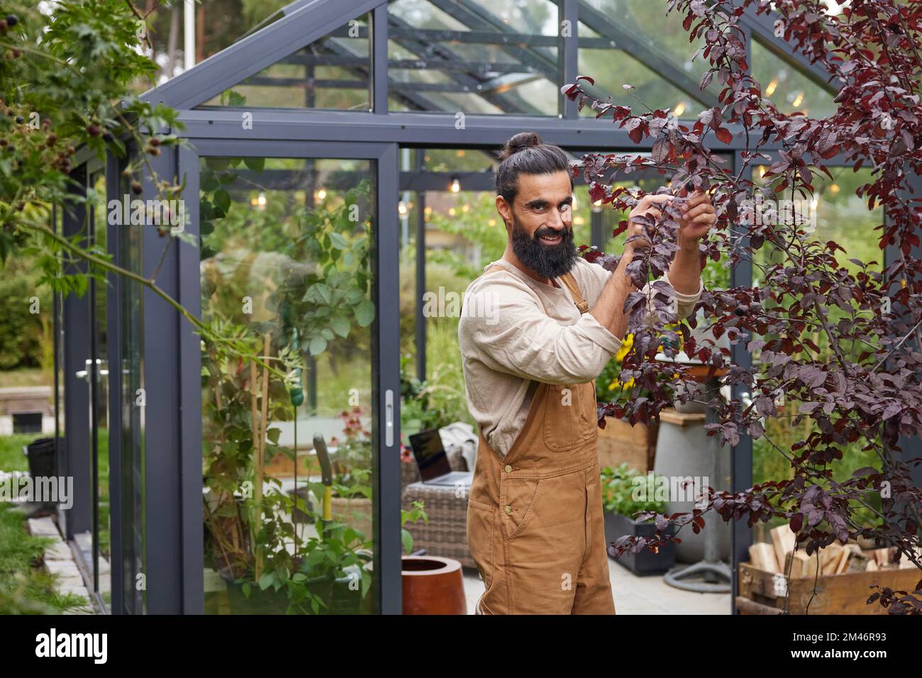 Mature gardener growing tree hi-res stock photography and images - Alamy