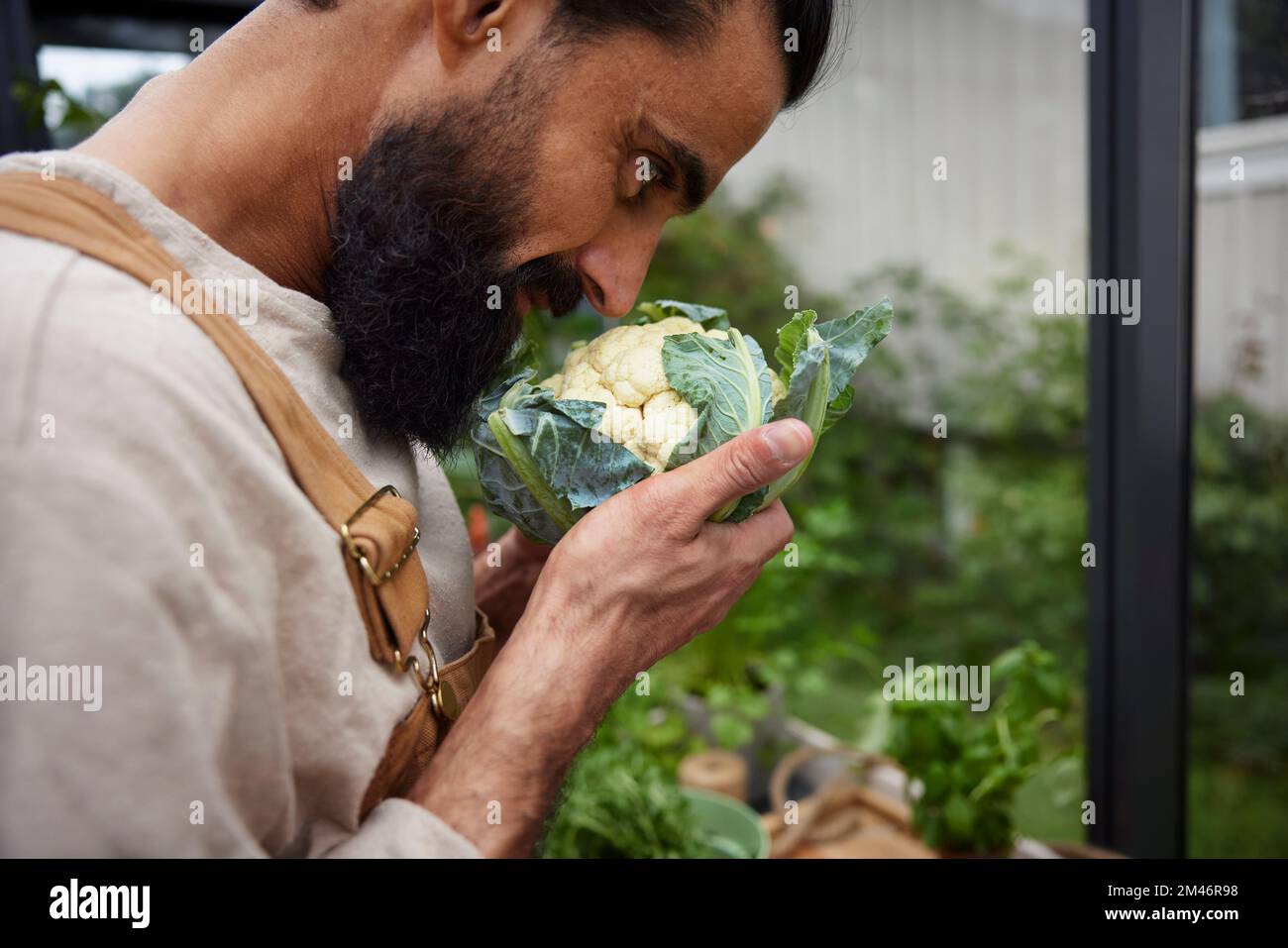 Man smelling fresh cauliflower Stock Photo - Alamy