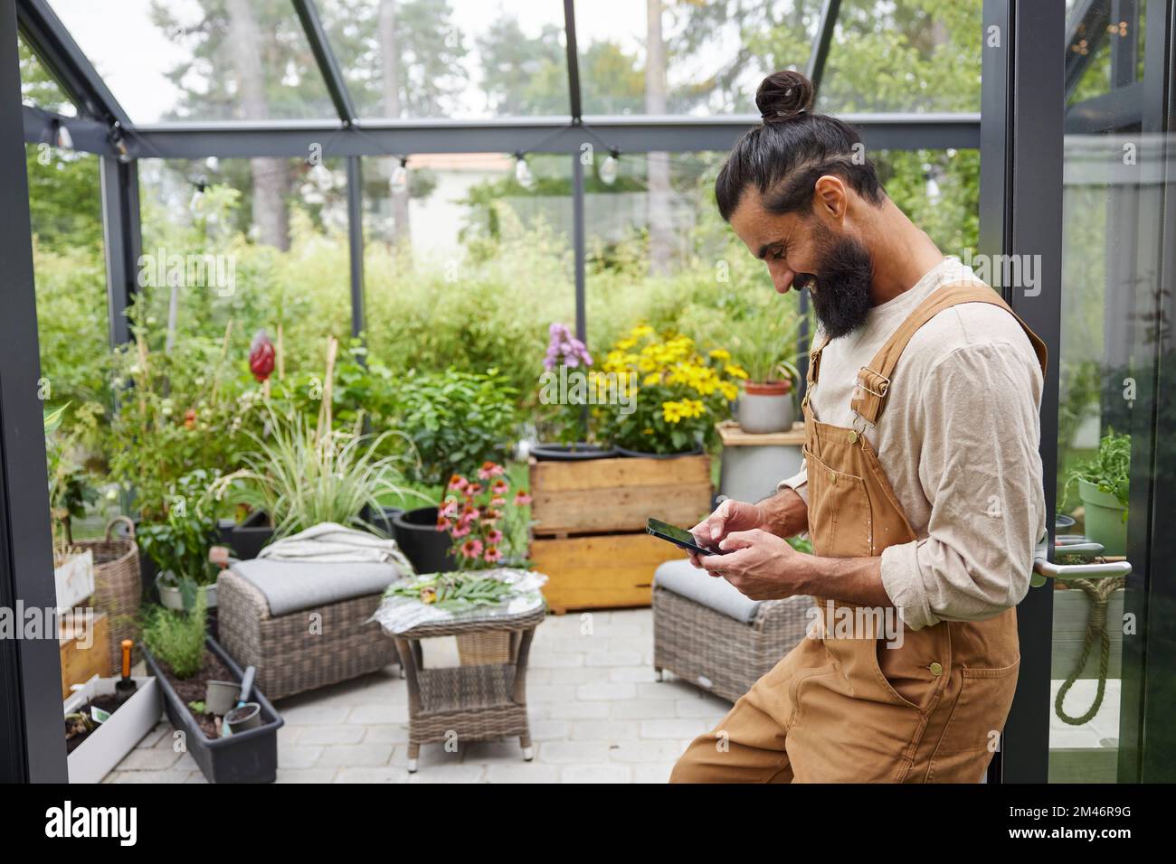 Man in greenhouse using cell phone Stock Photo - Alamy