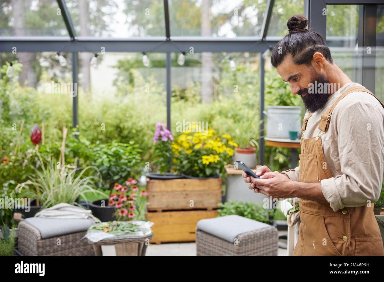 Man in greenhouse using cell phone Stock Photo - Alamy