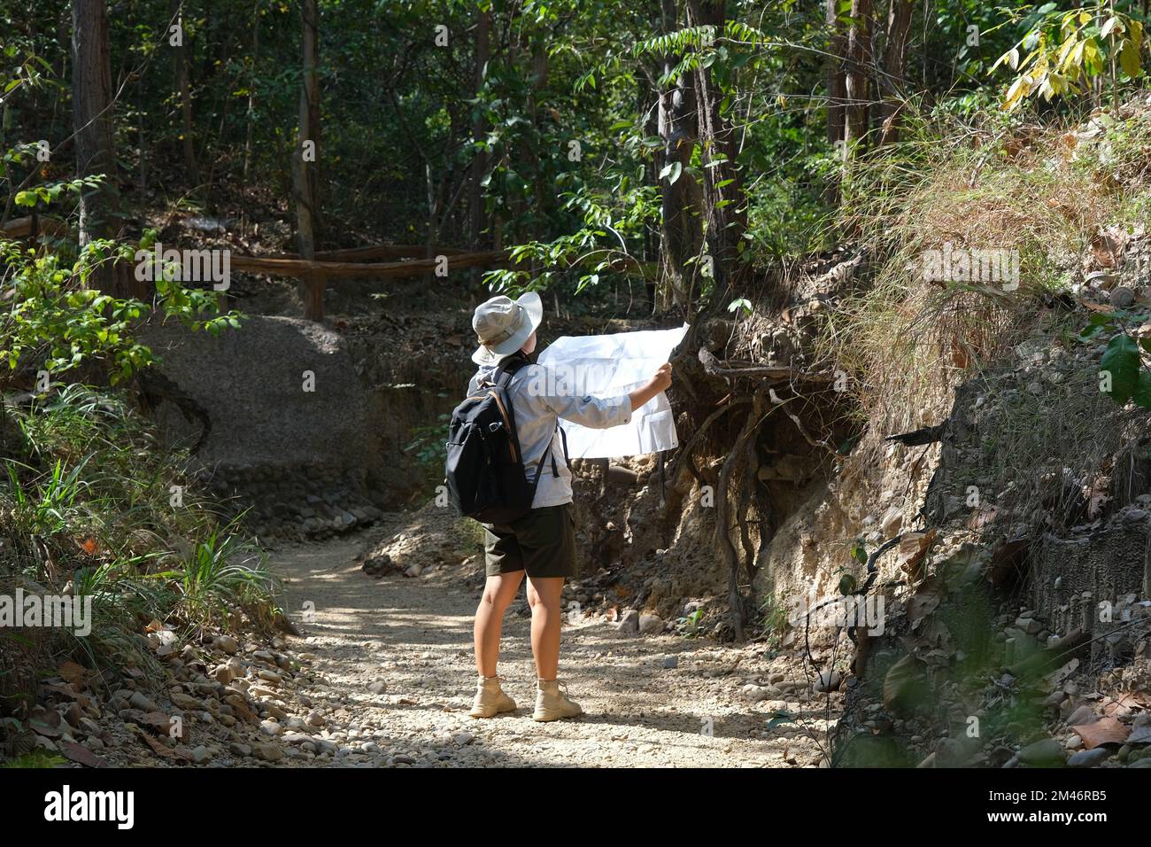 Female geologist using a map, examining a natural path and analyzing ...