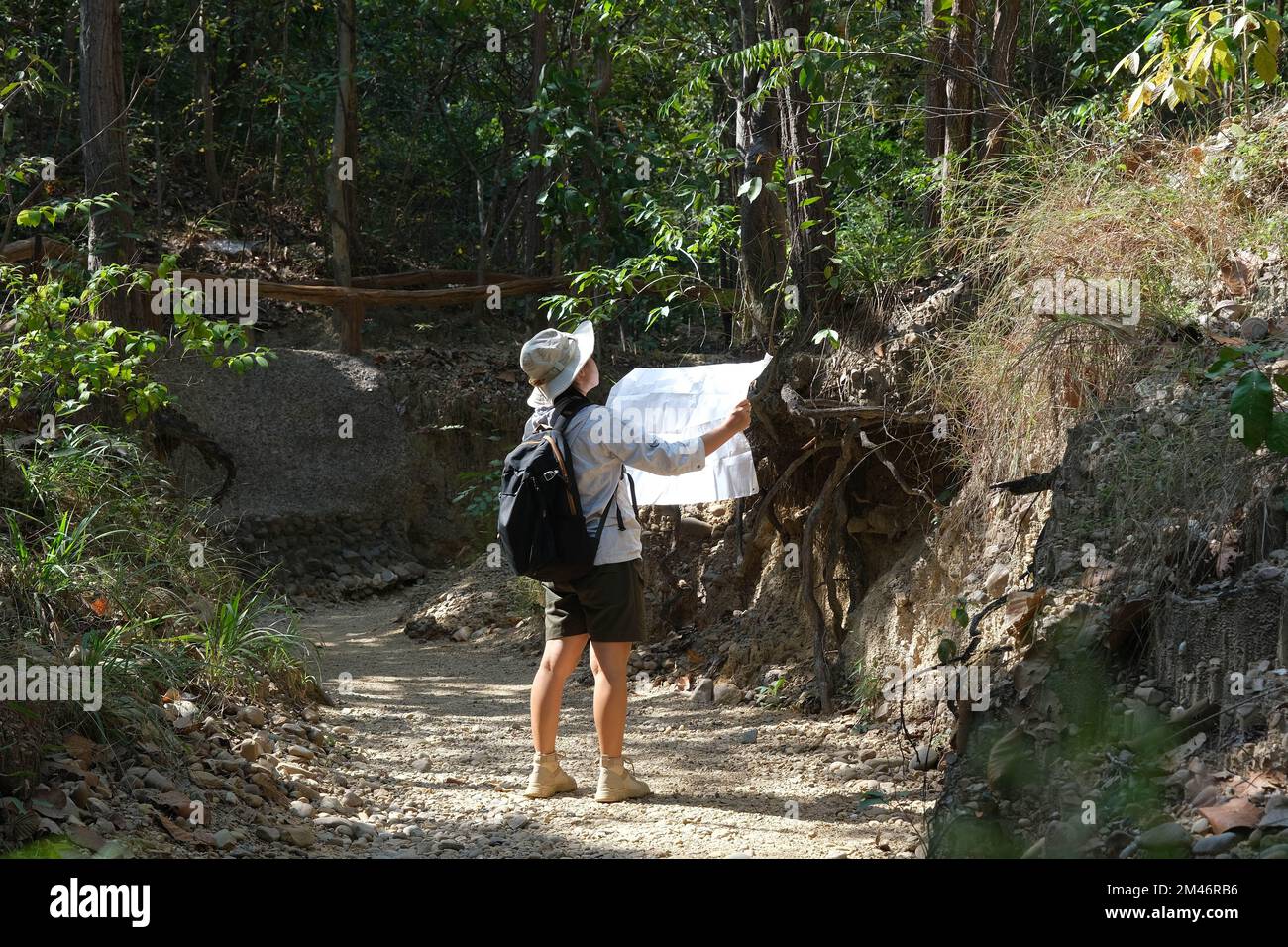 Female geologist using a map, examining a natural path and analyzing ...