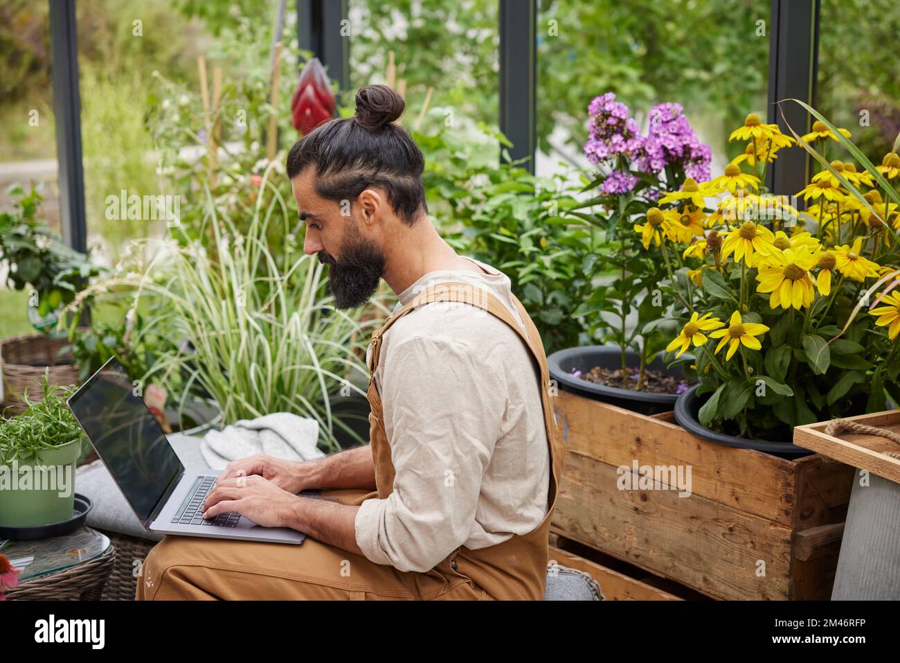 Man using laptop in greenhouse Stock Photo - Alamy