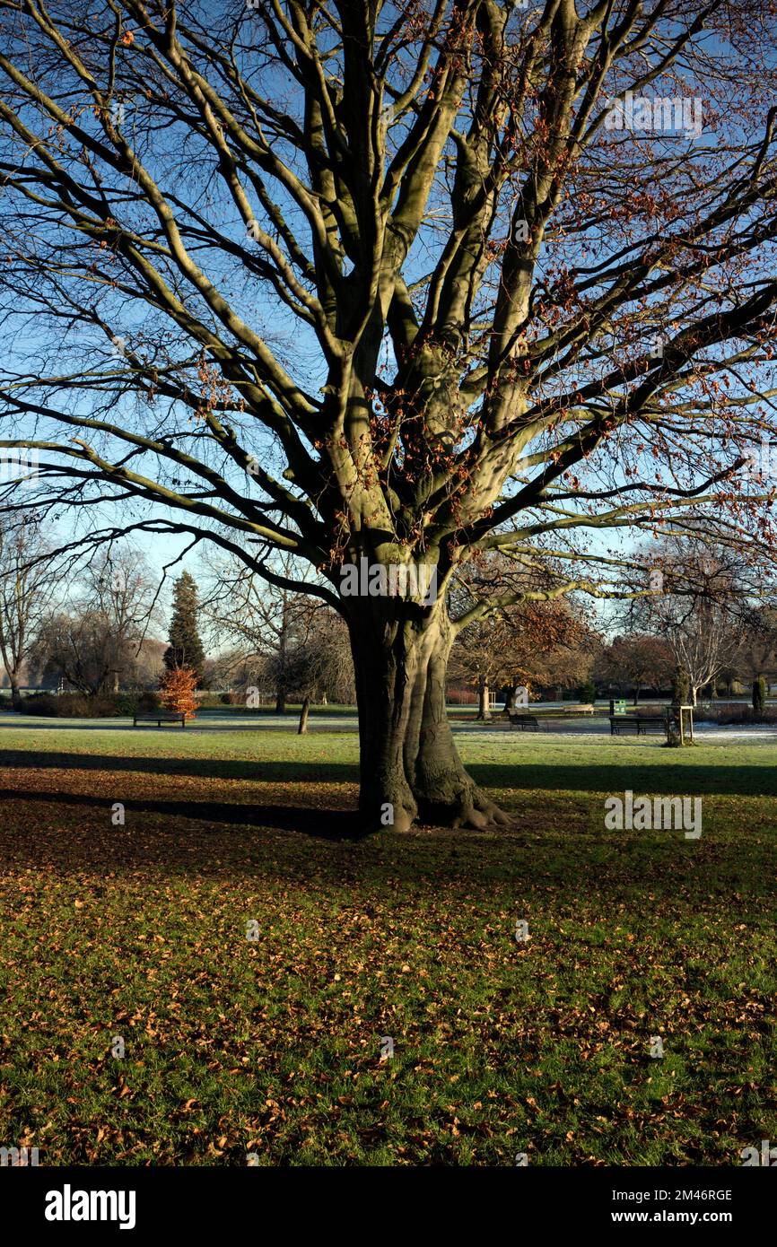 St. Nicholas Park in winter, Warwick, Warwickshire, England, UK Stock ...