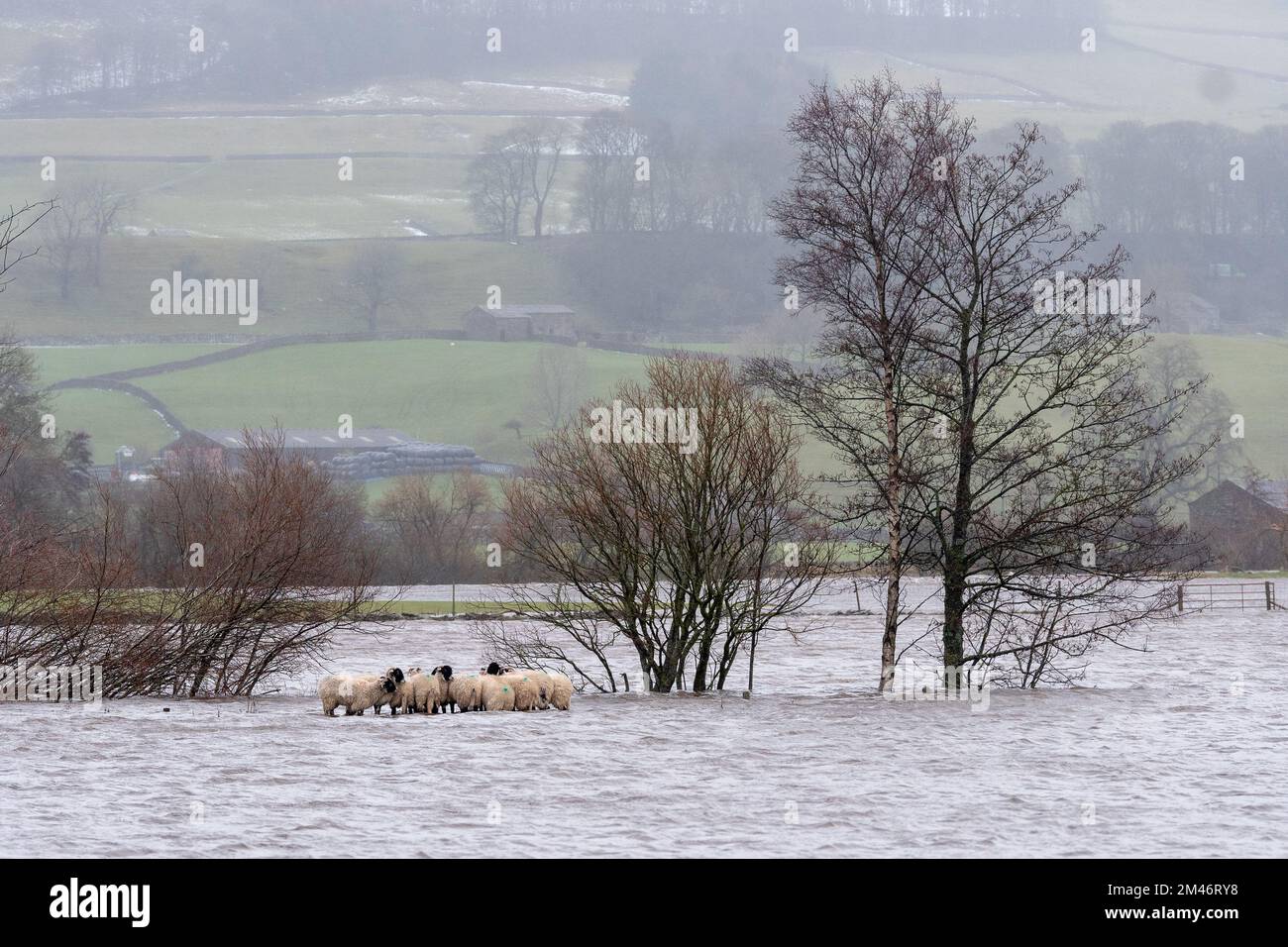 Countryside uk sheep stranded hi-res stock photography and images - Alamy