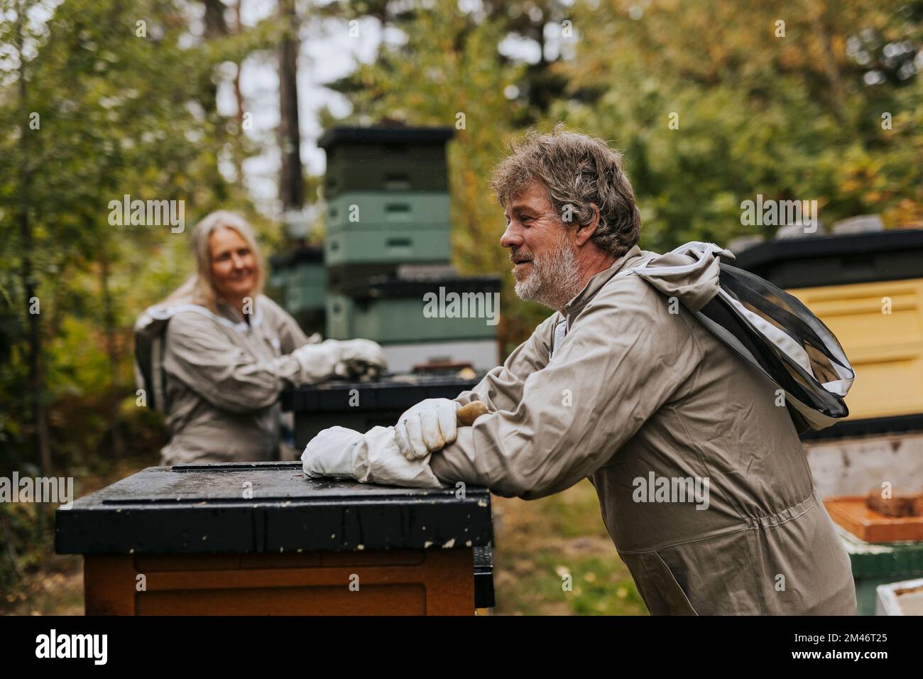 Mature beekeeper working apiary hi-res stock photography and images - Alamy