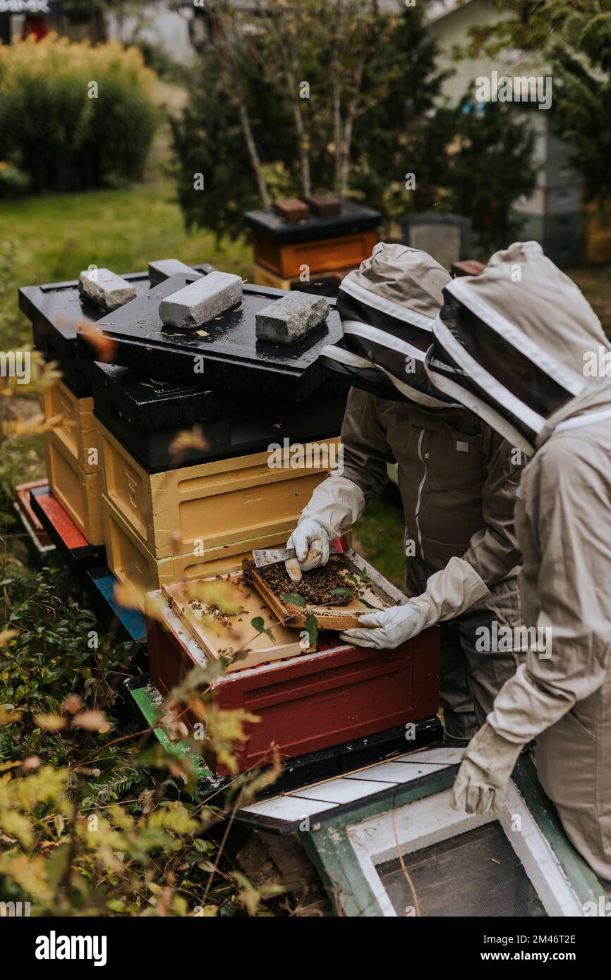 Professional beekeepers hi-res stock photography and images - Alamy