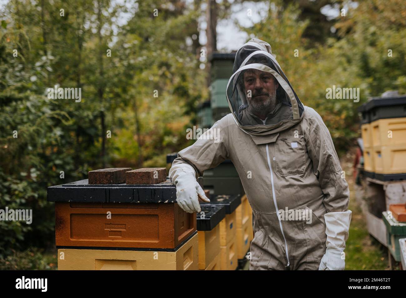 Beekeeper standing near beehive Stock Photo - Alamy