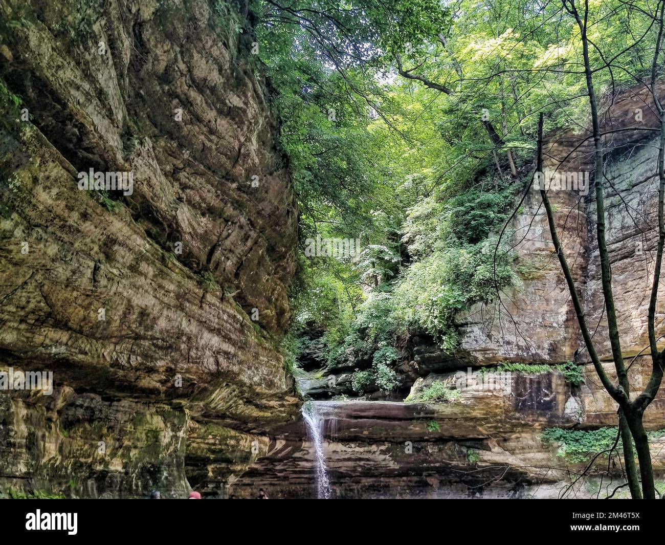 A scenic view of a small waterfall with lush vegetation at Starved Rock ...