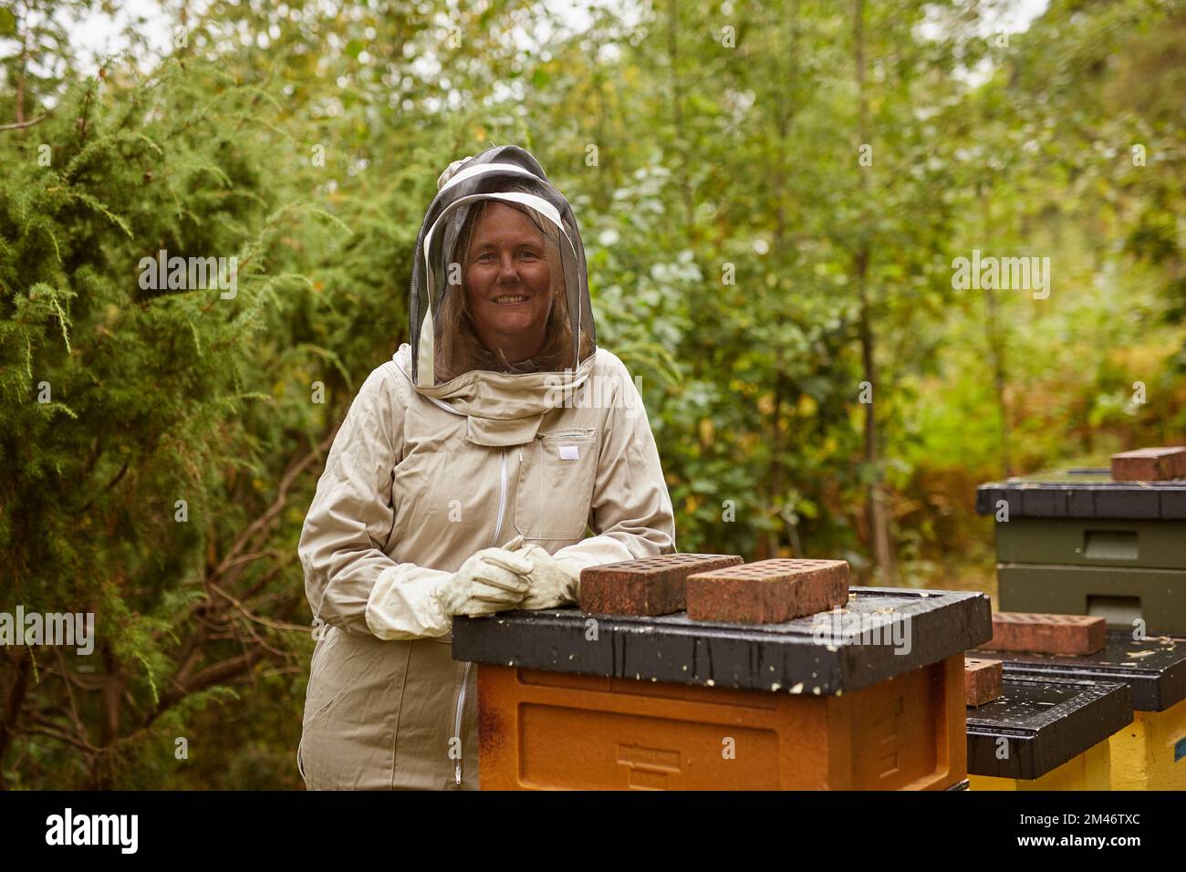 Bee-keeper posing during work Stock Photo - Alamy