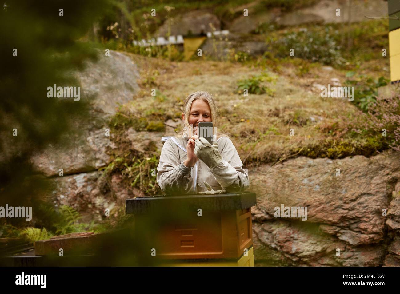Bee-keeper photographing beehive Stock Photo - Alamy