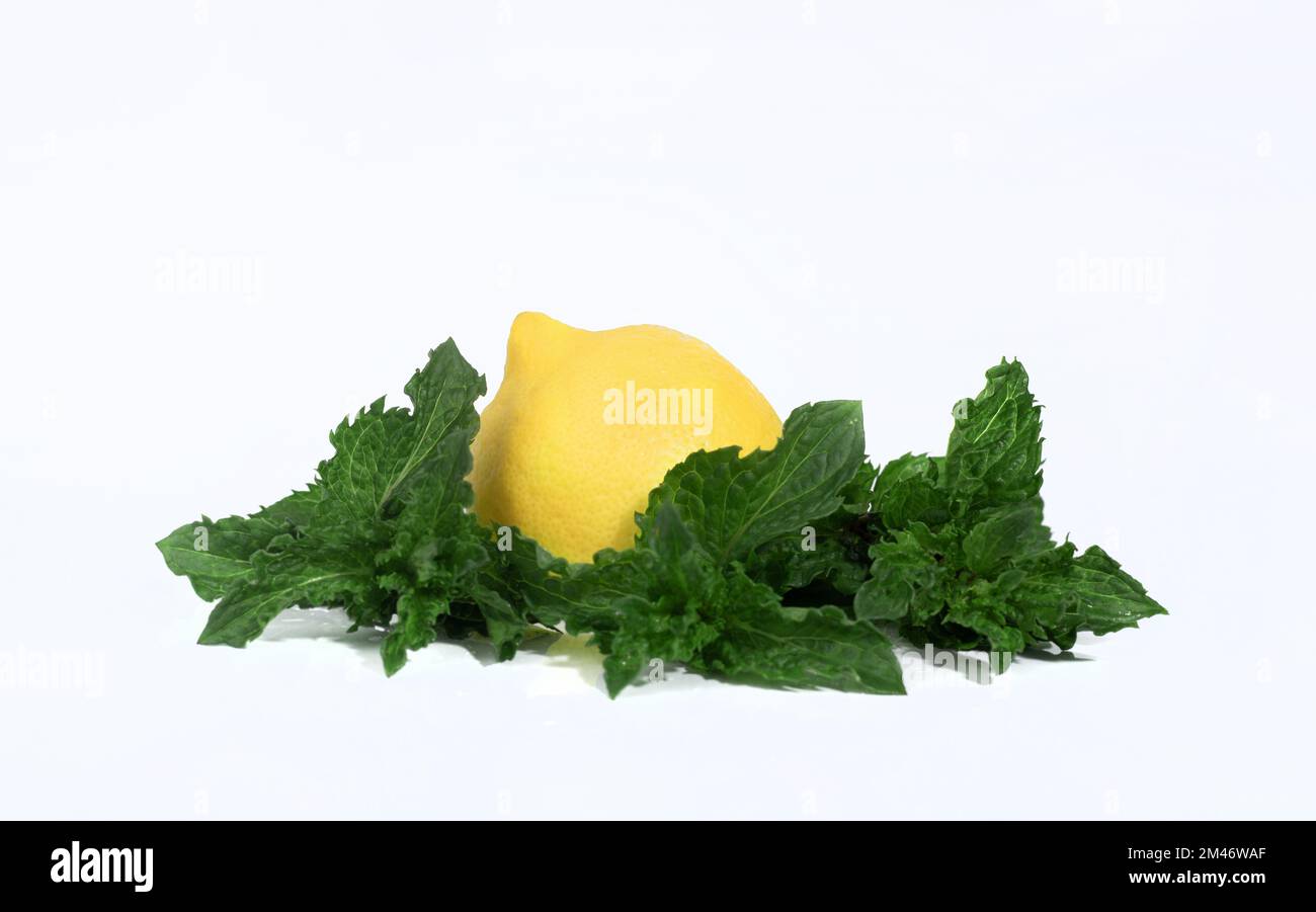 Whole organic lemon on white isolated background with clipping path ...