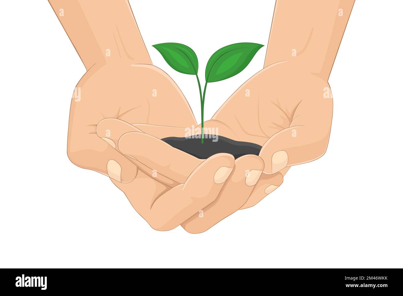 Sprout vectors hi-res stock photography and images - Alamy