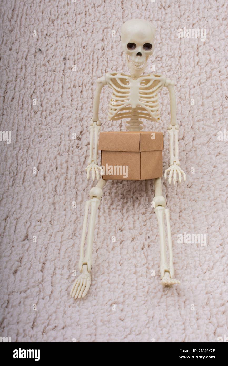 Human skeleton model for medical anatomy science with cardboard box ...