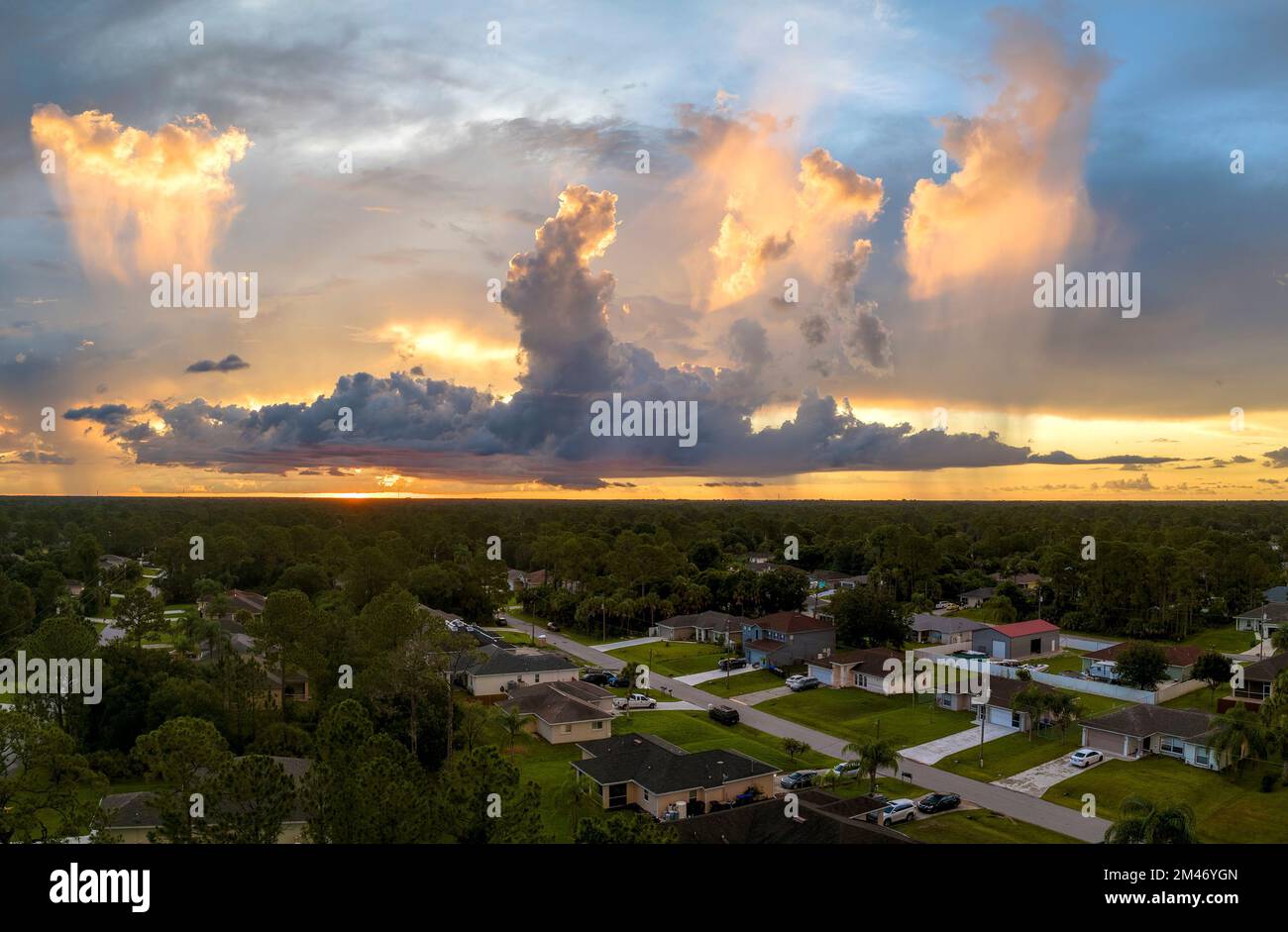 Aerial landscape view of suburban private houses between green palm ...