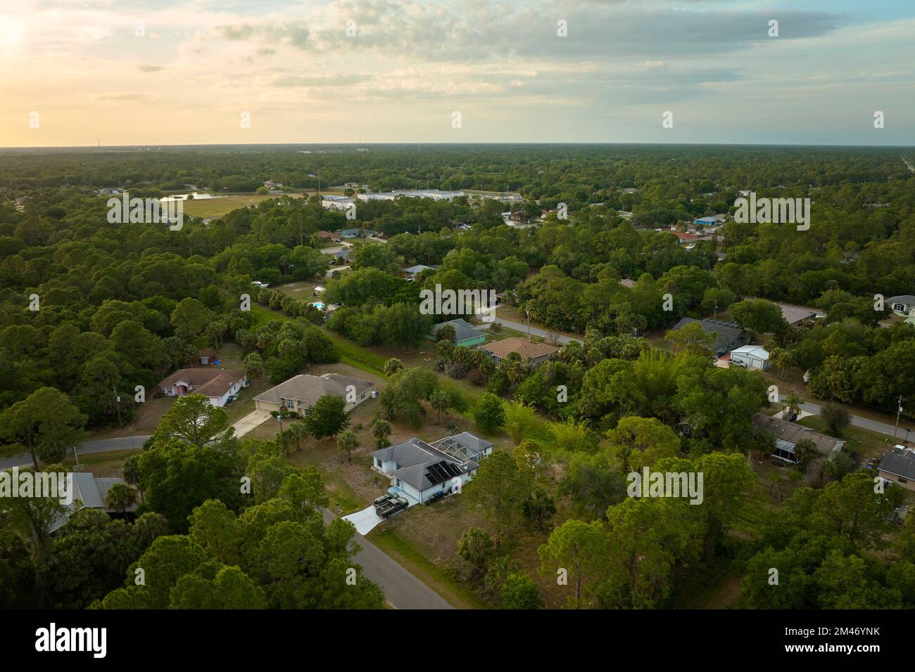 Aerial landscape view of suburban private houses between green palm ...