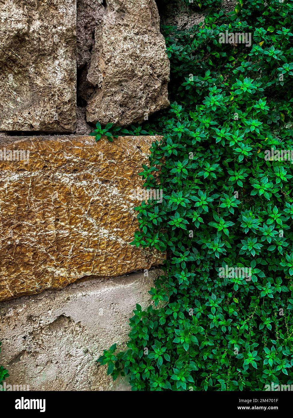 Stone wall close up, background or texture. Part of a large stone for ...
