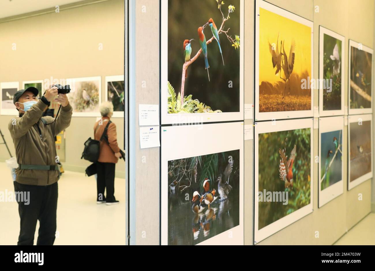 The 3rd Xiamen Bird Photography Art Exhibition was held in Xiamen Art ...