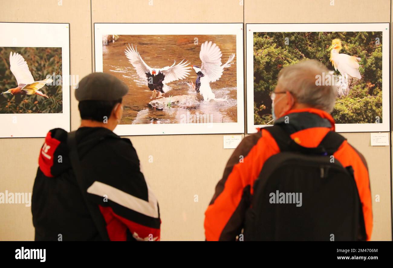 The 3rd Xiamen Bird Photography Art Exhibition was held in Xiamen Art ...