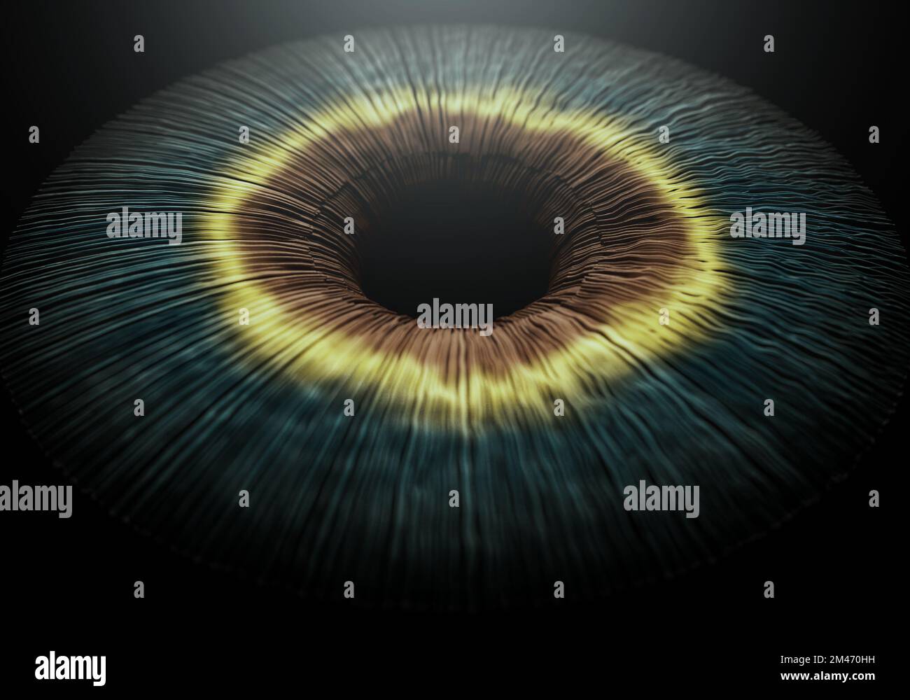 A microscopic concept showing the detailed makeup of an eyes iris - 3D ...