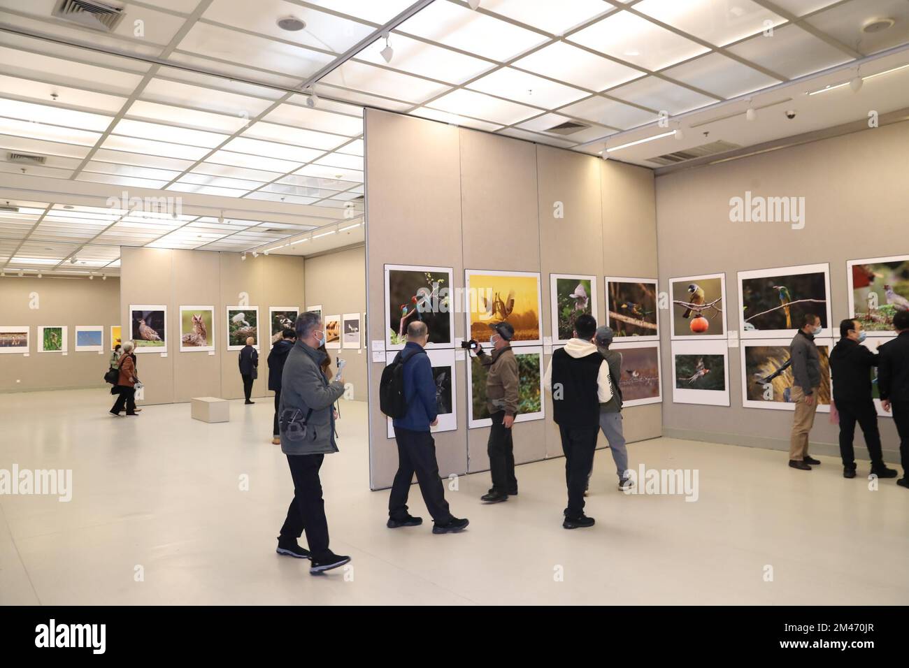 The 3rd Xiamen Bird Photography Art Exhibition was held in Xiamen Art ...