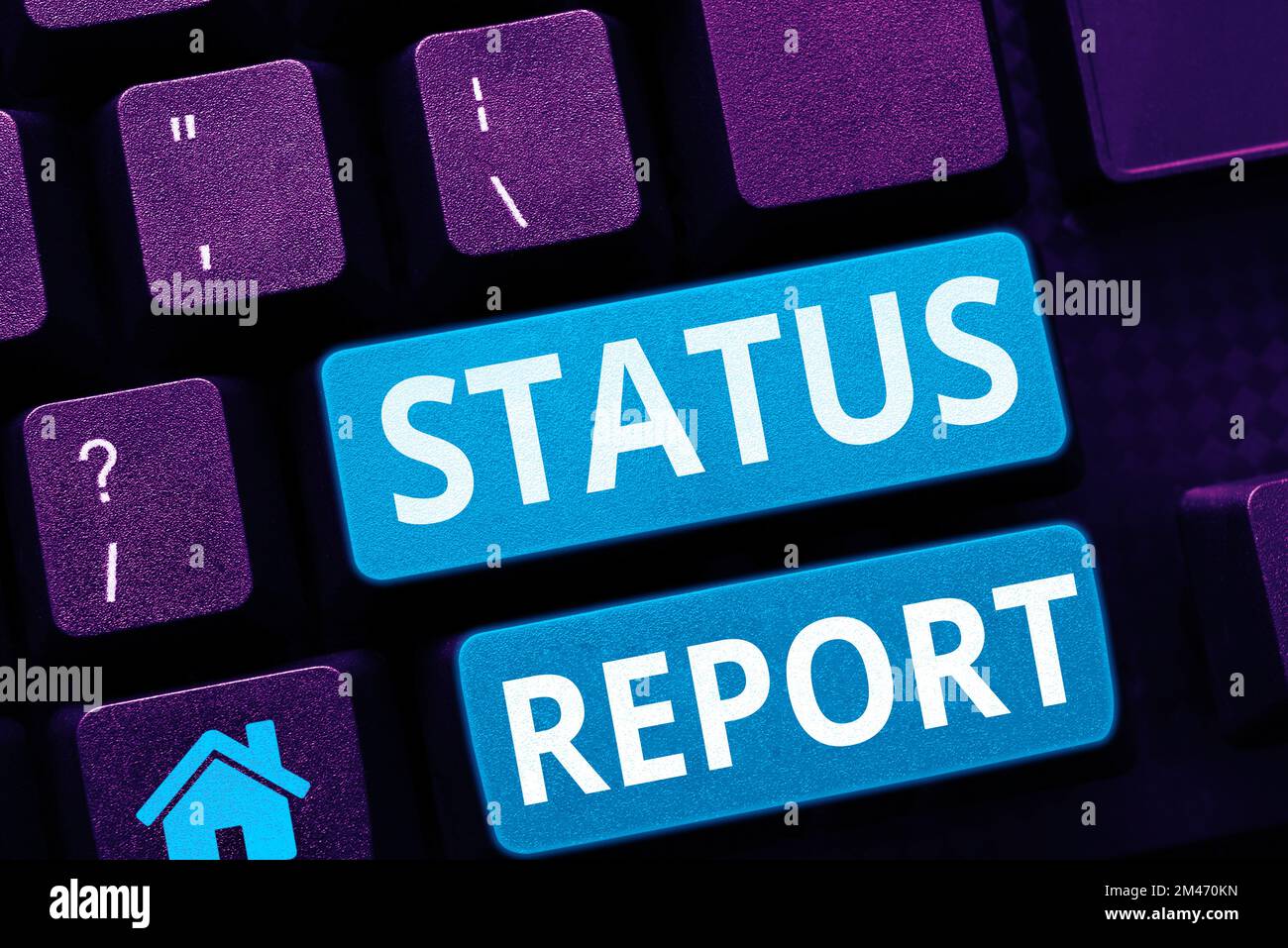 Conceptual display Status Report. Business overview Update Summary of ...